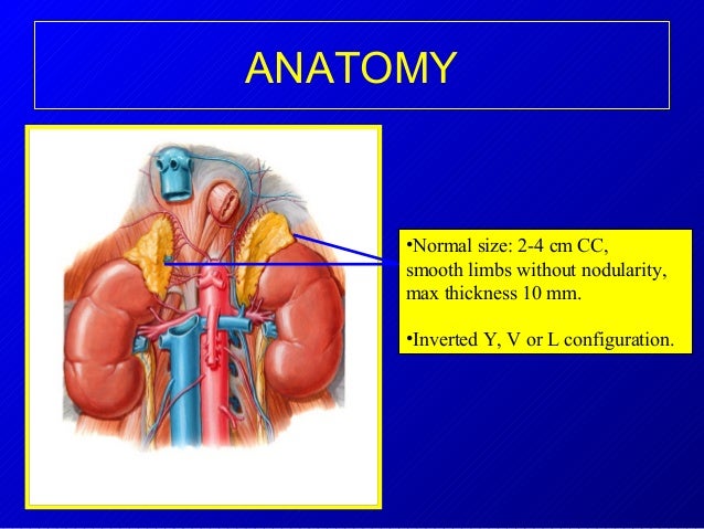 Imaging of the adrenal glands