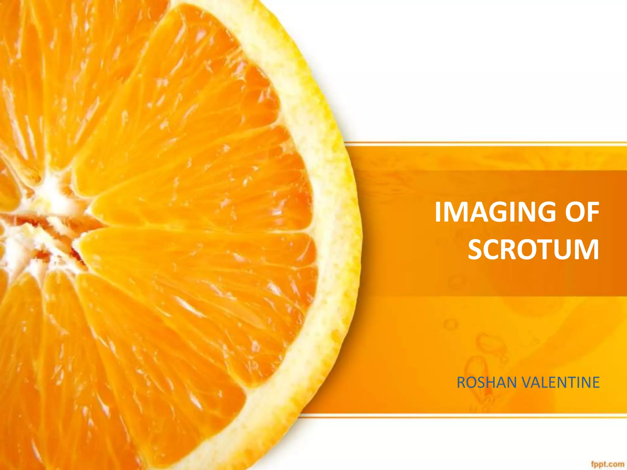 Imaging of the scrotum | PPTX
