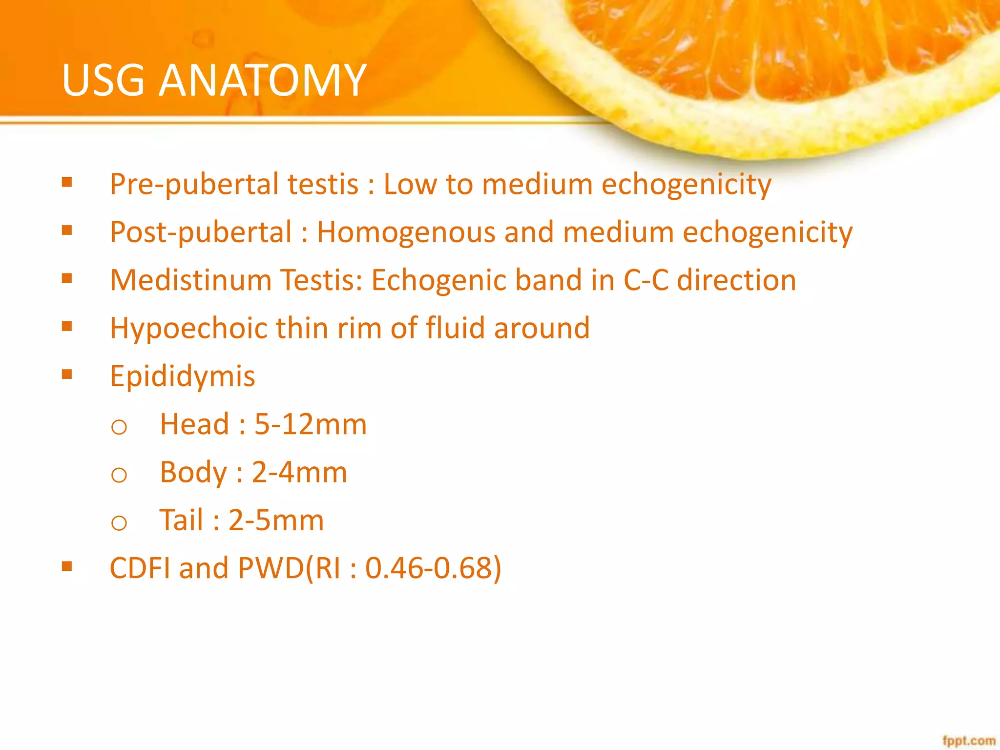 Imaging of the scrotum | PPTX