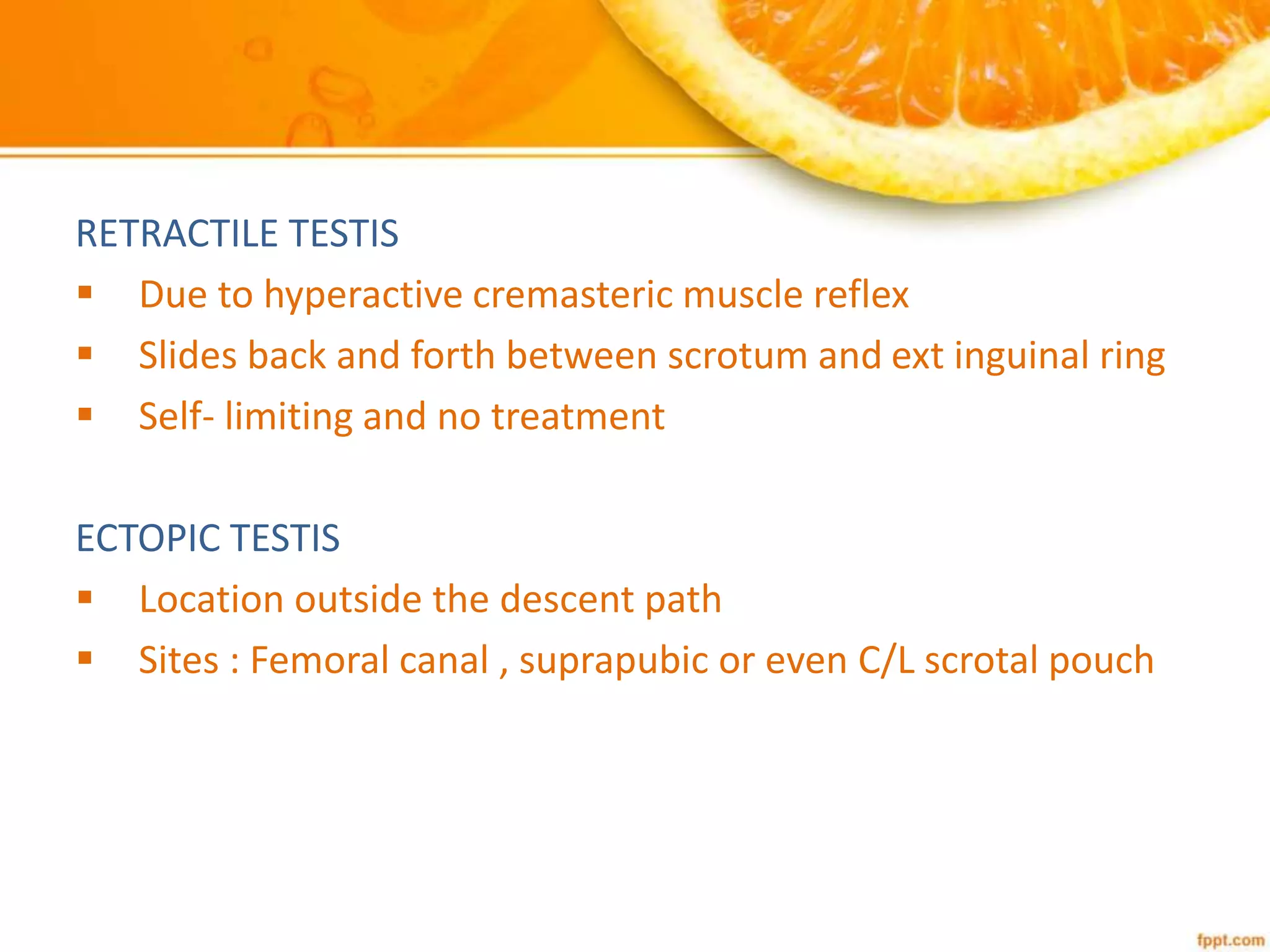 Imaging of the scrotum | PPTX