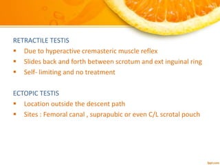 Imaging of the scrotum | PPTX