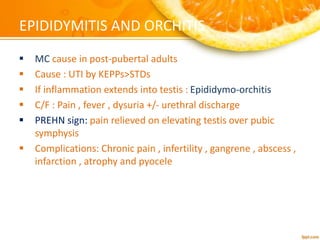 Imaging of the scrotum | PPTX