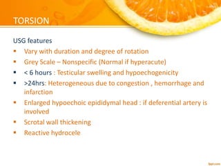 Imaging of the scrotum | PPTX