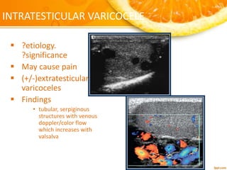Imaging of the scrotum | PPTX
