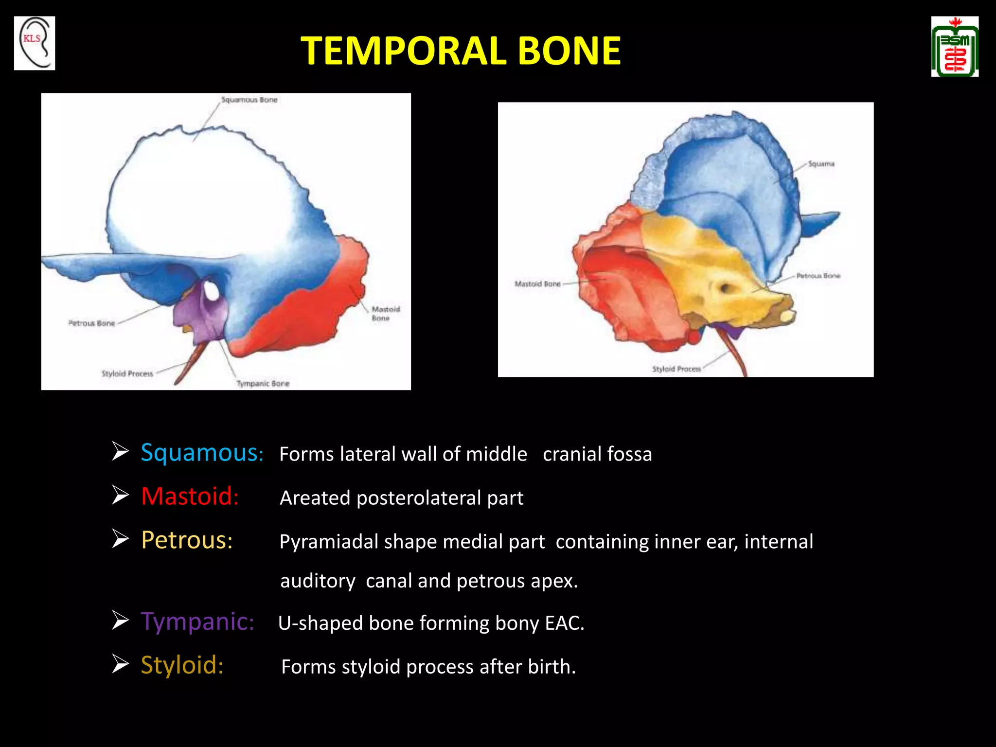 Imaging of the temporal bone | PPTX