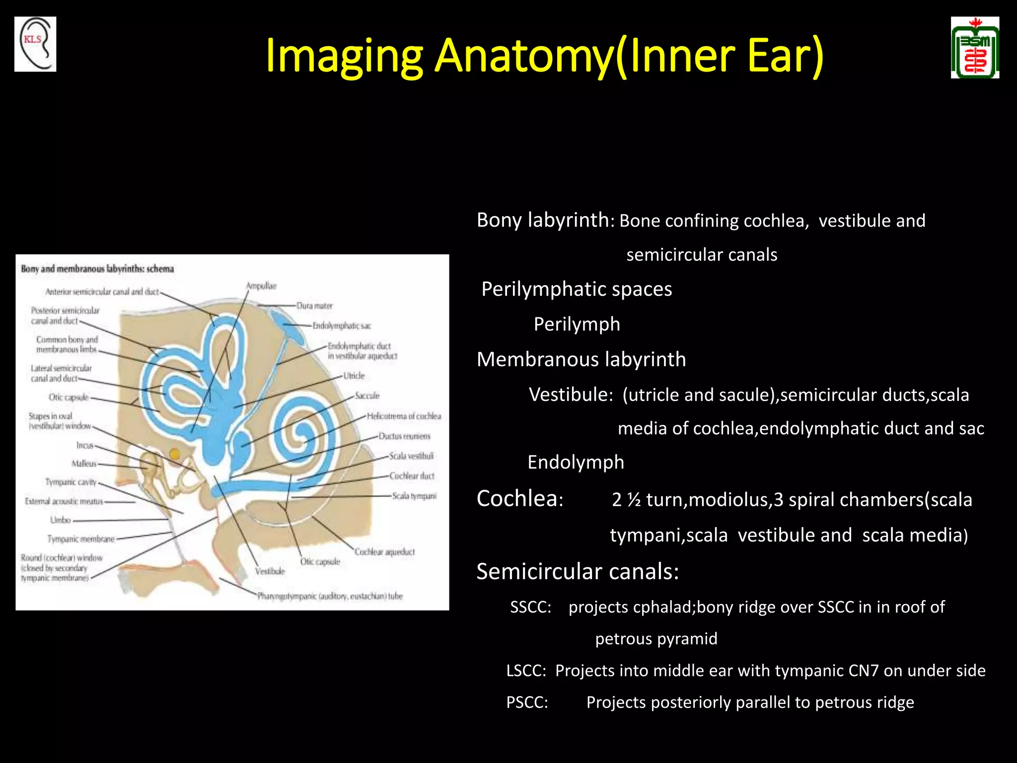 Imaging of the temporal bone | PPTX