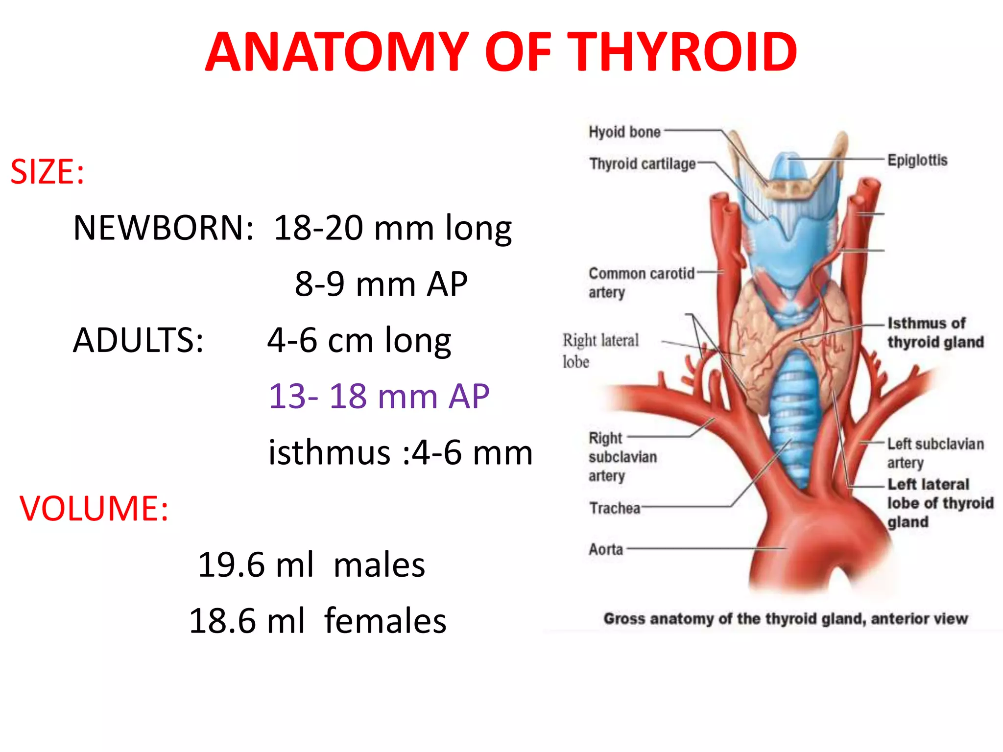 Imaging of the thyroid | PPTX