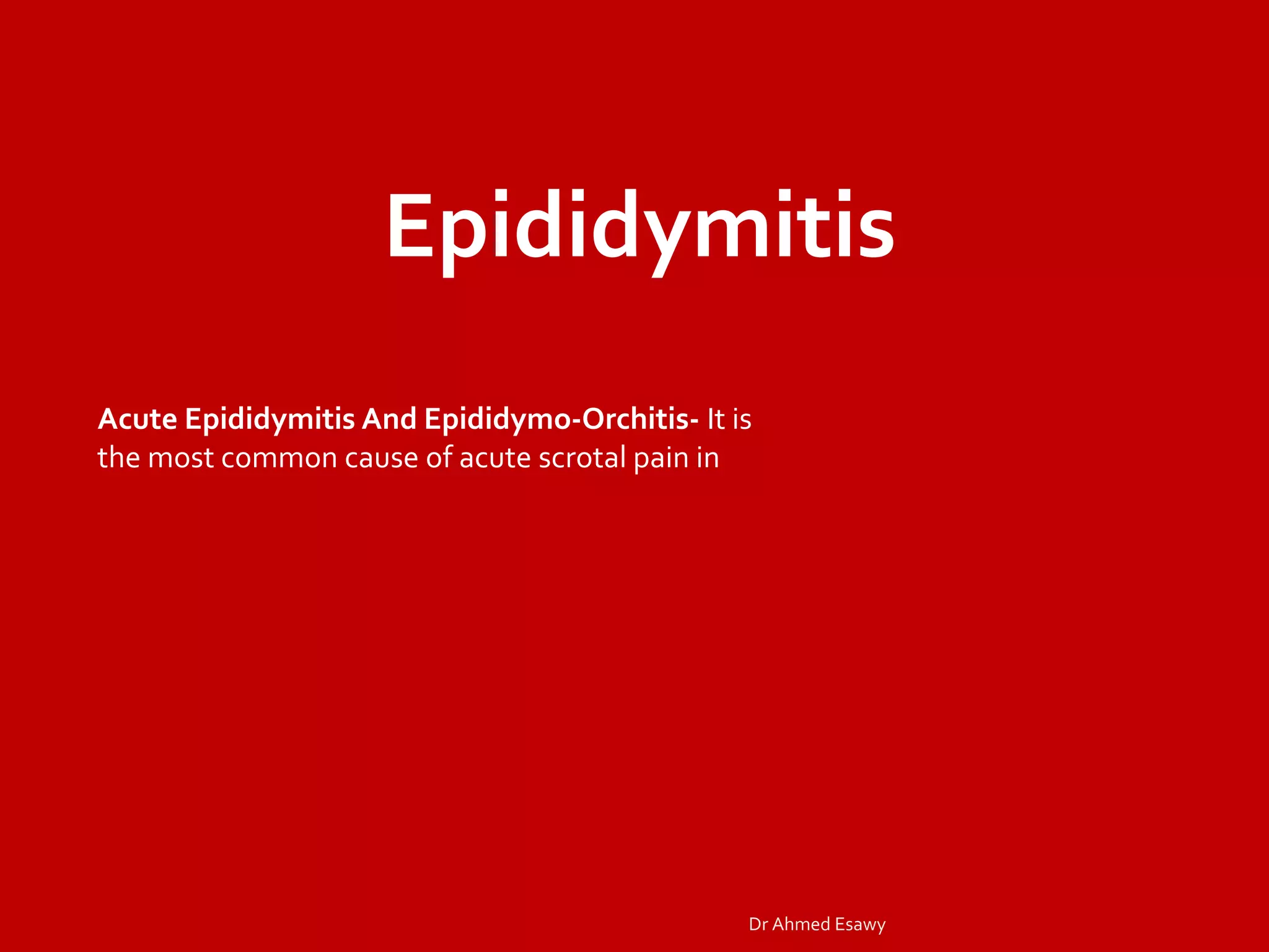 Imaging orchitis epidydmitis epidydmo orchitis DrAhmed Esawy | PDF