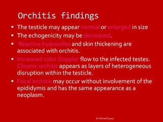 Imaging orchitis epidydmitis epidydmo orchitis DrAhmed Esawy | PDF