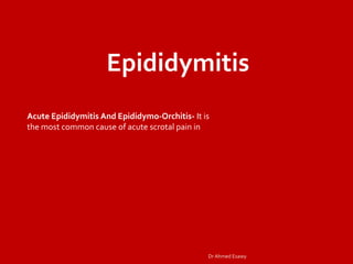 Imaging orchitis epidydmitis epidydmo orchitis DrAhmed Esawy | PDF