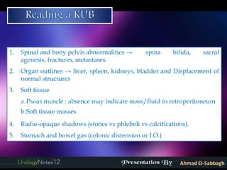 Imaging in urology: part 1 kub & ivp | PDF