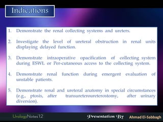 Imaging in urology: part 1 kub & ivp | PDF