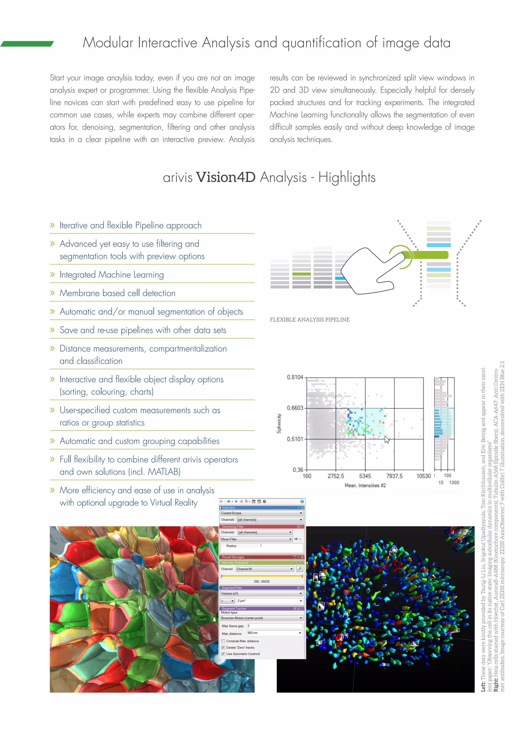 arivis Vision4D - IMAGE ANALYSIS WHICH FITS YOUR DATA (4 pages, 2020) | PDF