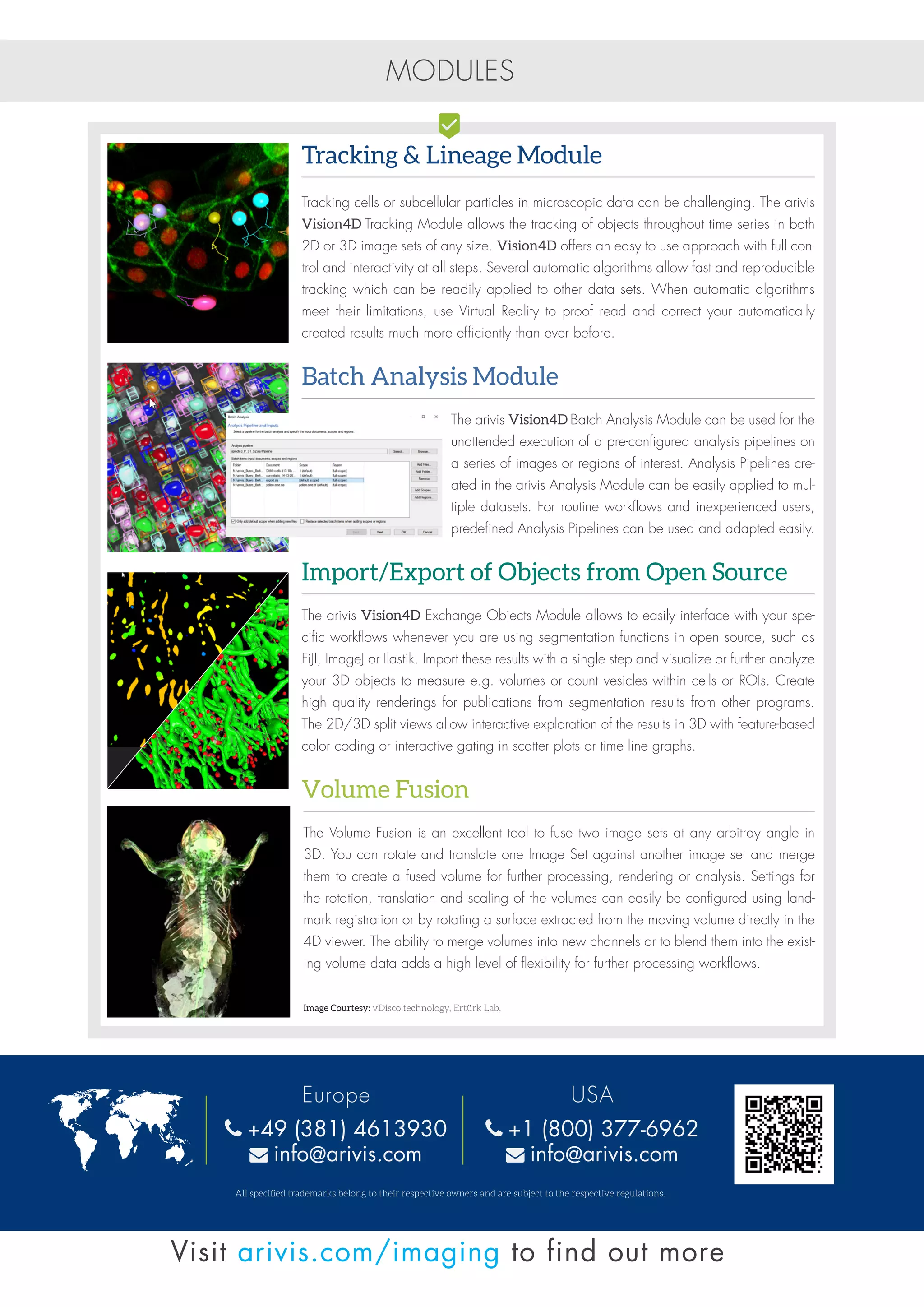arivis Vision4D - IMAGE ANALYSIS WHICH FITS YOUR DATA (4 pages, 2020) | PDF
