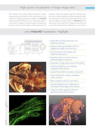 arivis Vision4D - IMAGE ANALYSIS WHICH FITS YOUR DATA (4 pages, 2020) | PDF