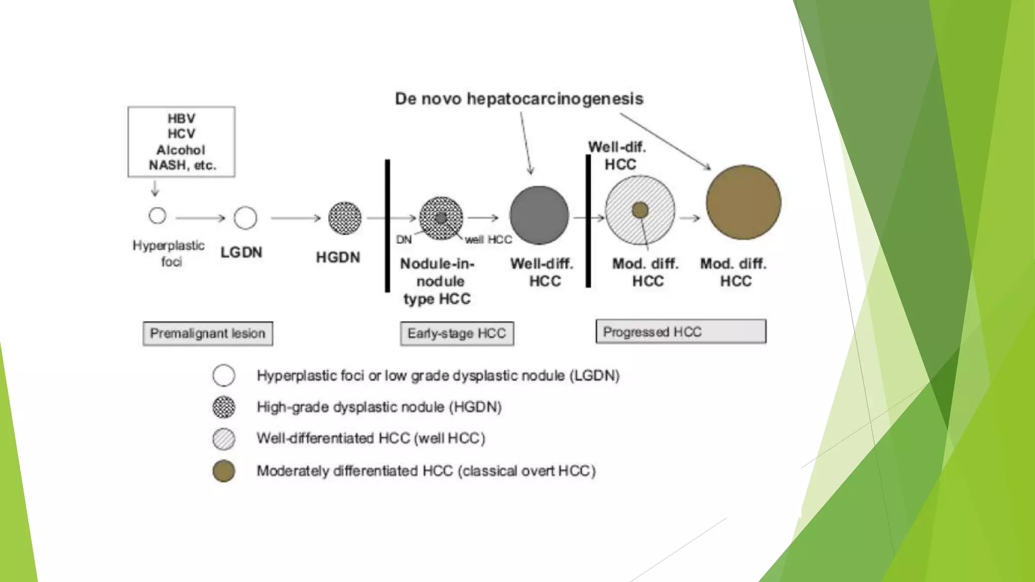 IMAGING SPECTRUM OF HCC | PPTX