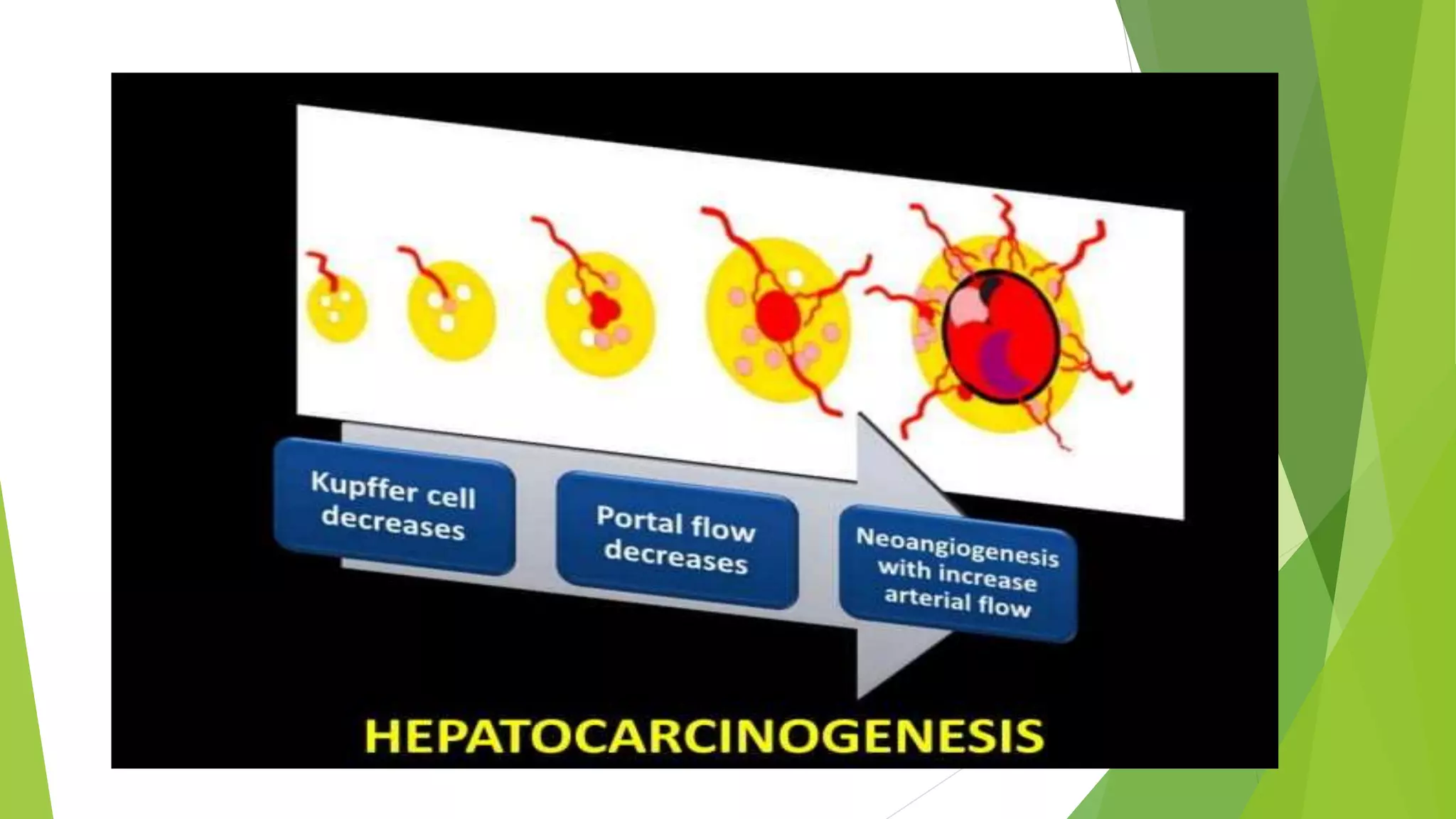 IMAGING SPECTRUM OF HCC | PPTX