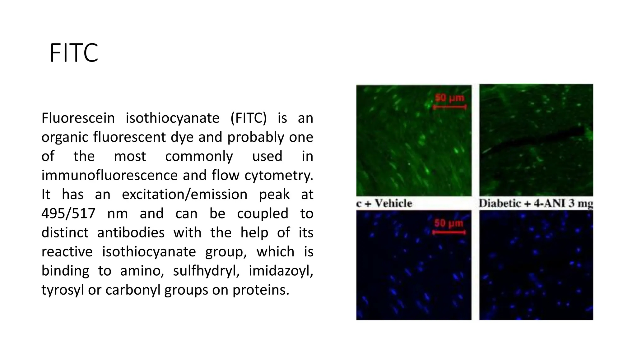 Imaging Techniques in Pharmacology MAIN.pptx