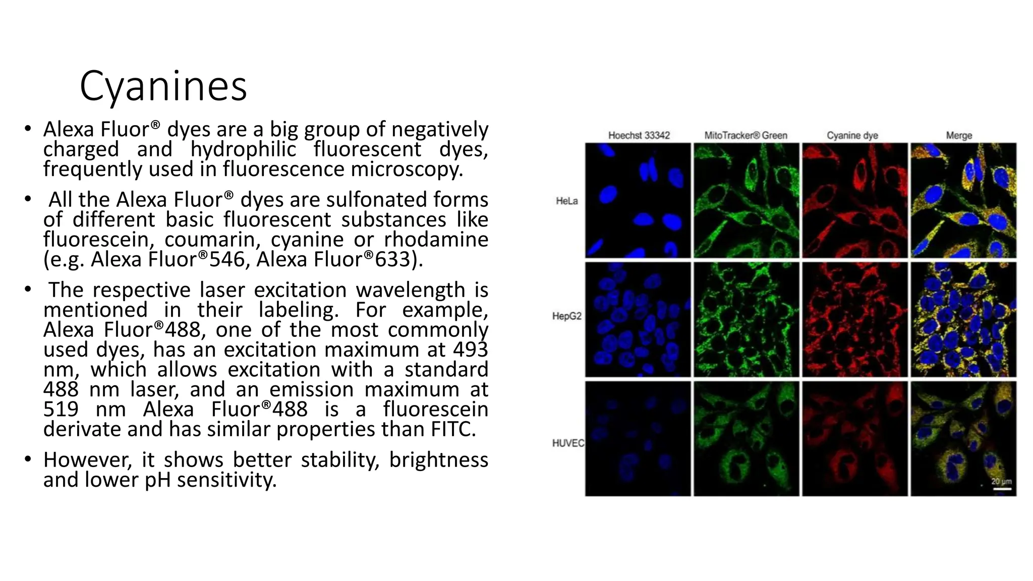 Imaging Techniques in Pharmacology MAIN.pptx