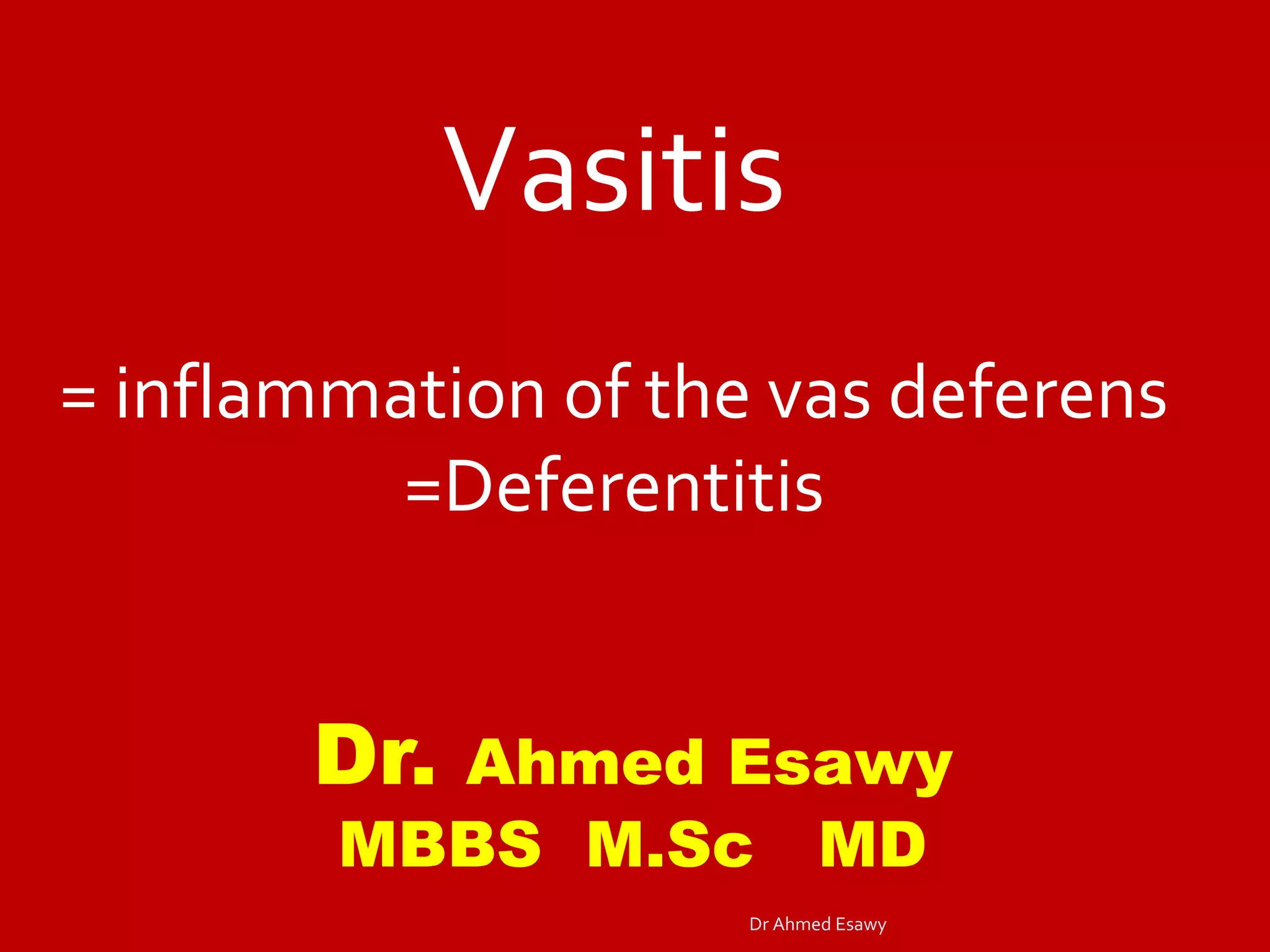 Imaging vastitis differentitis funiculitis seminal vesiculitis Dr Ahmed ...
