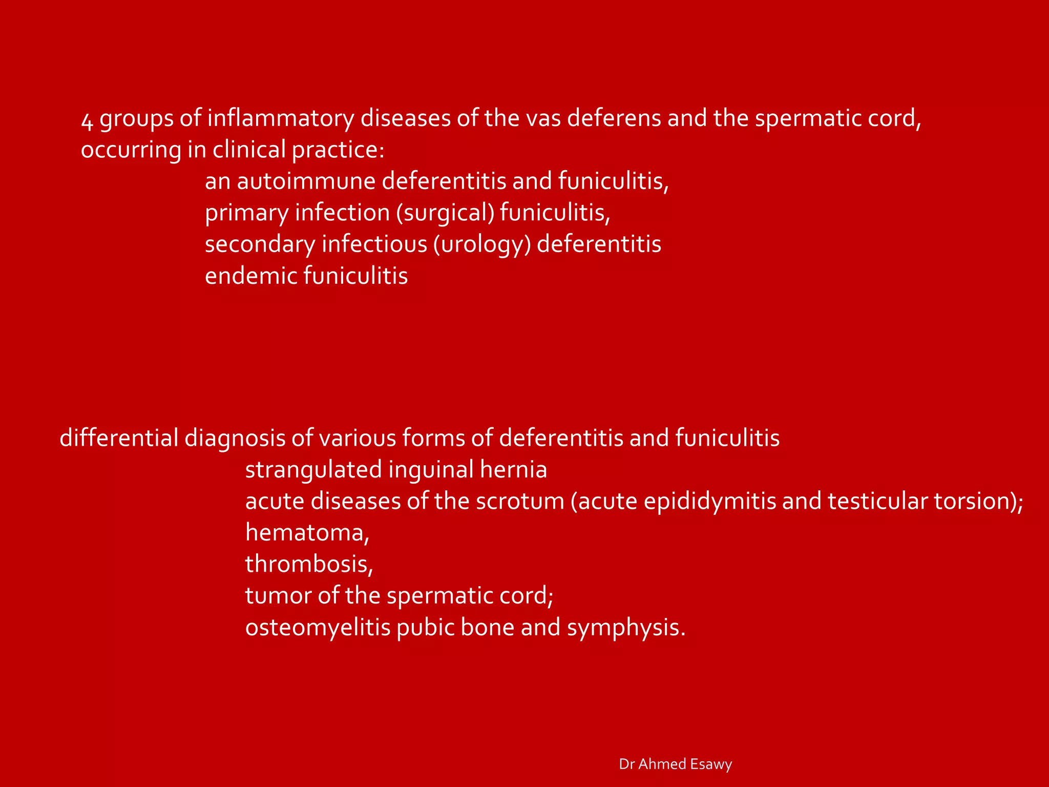 Imaging vastitis differentitis funiculitis seminal vesiculitis Dr Ahmed ...