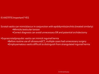 Imaging vastitis differentitis funiculitis seminal vesiculitis Dr Ahmed ...