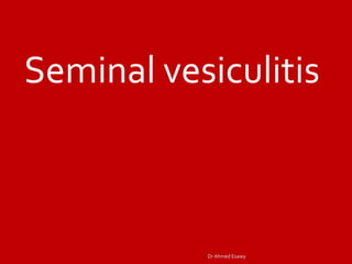 Imaging vastitis differentitis funiculitis seminal vesiculitis Dr Ahmed ...
