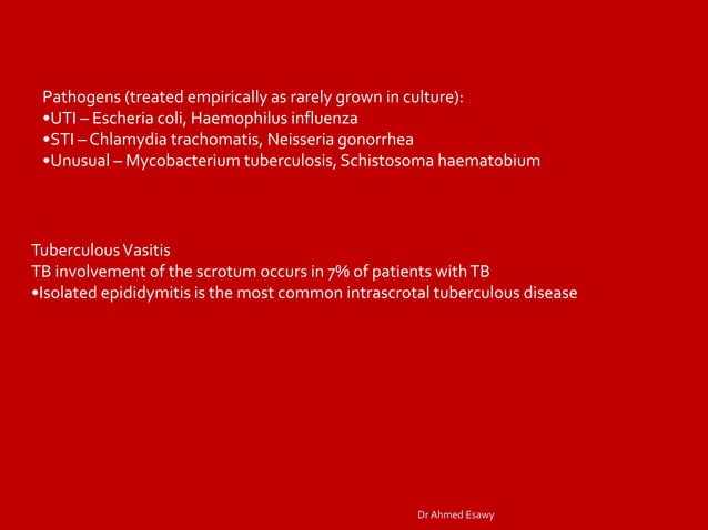Imaging vastitis differentitis funiculitis seminal vesiculitis Dr Ahmed ...