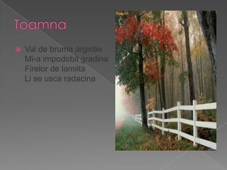 Toamna | PPT