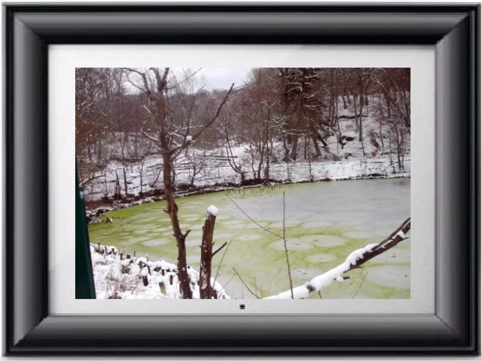 Imagini din jurul lacului ursu din sovata | PPS