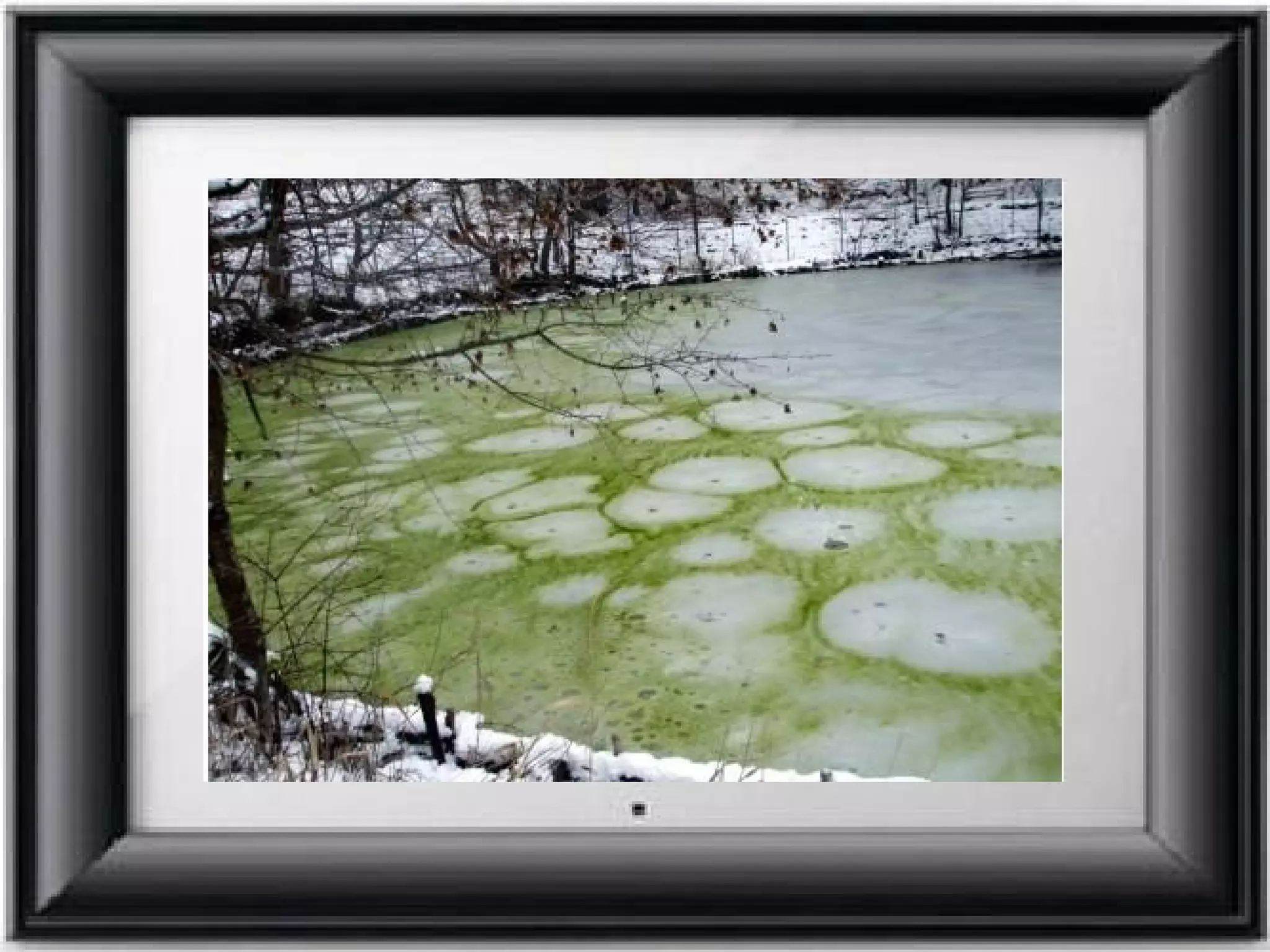 Imagini din jurul lacului ursu din sovata | PPS