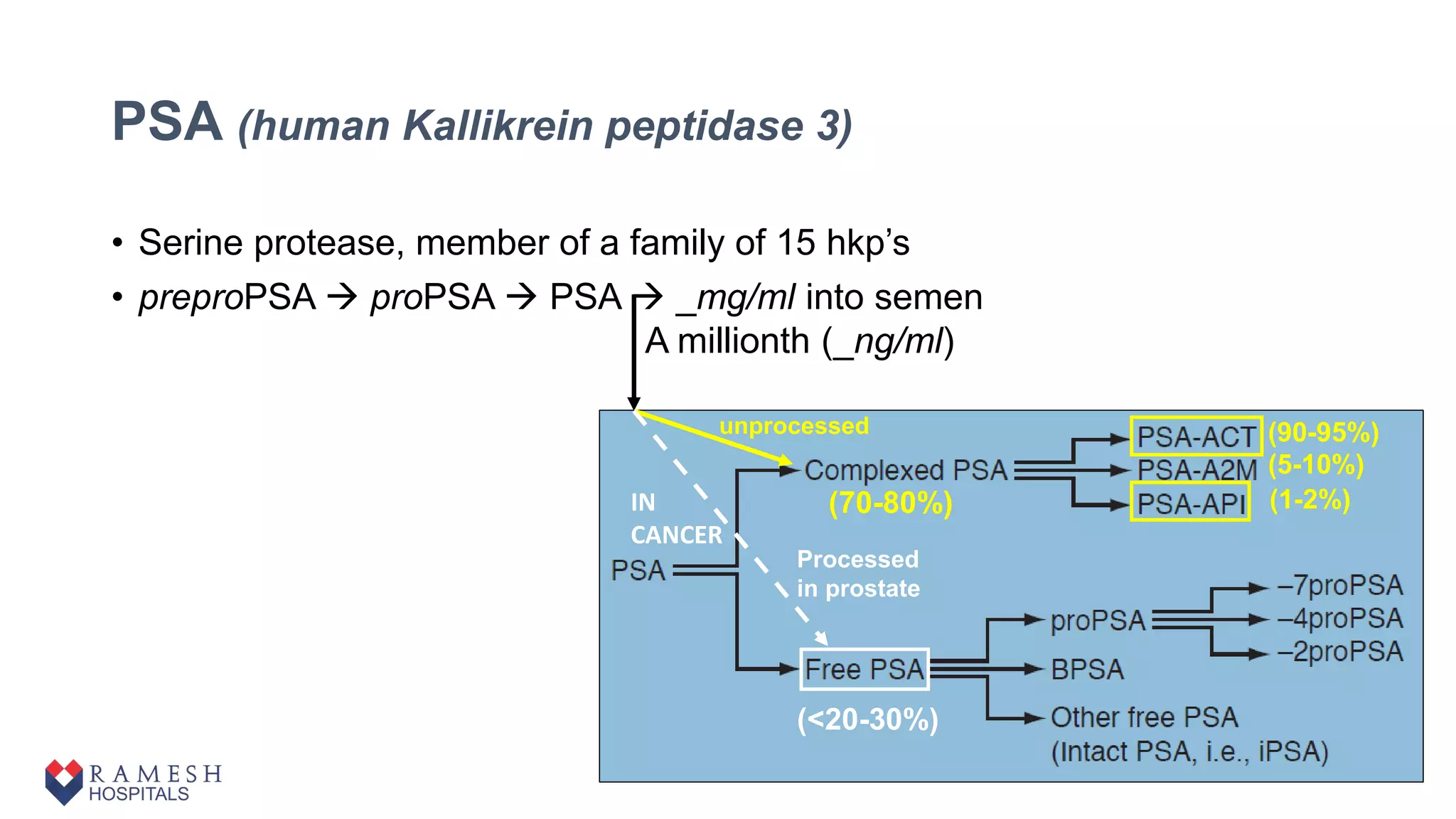 diagnosis and outline of management of localized prostate cancer for ...