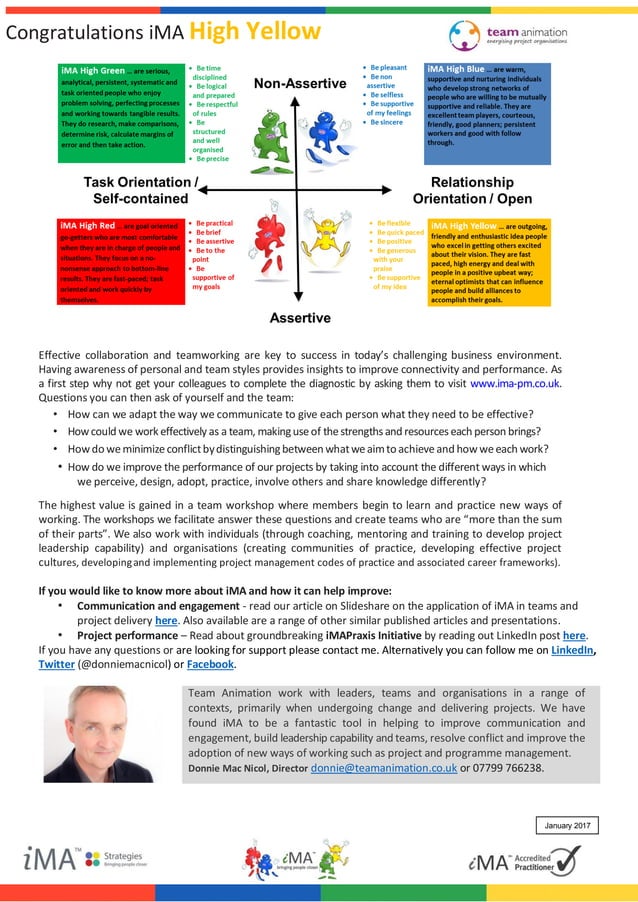 iMA High Yellow Description | PDF | Business Administration | Business
