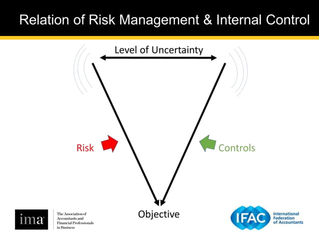 Upgrading Risk Management and Internal Control in Your Organization ...