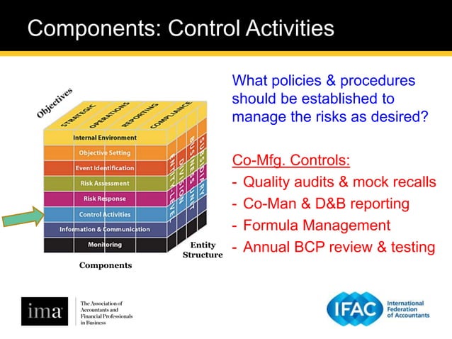 Upgrading Risk Management and Internal Control in Your Organization ...