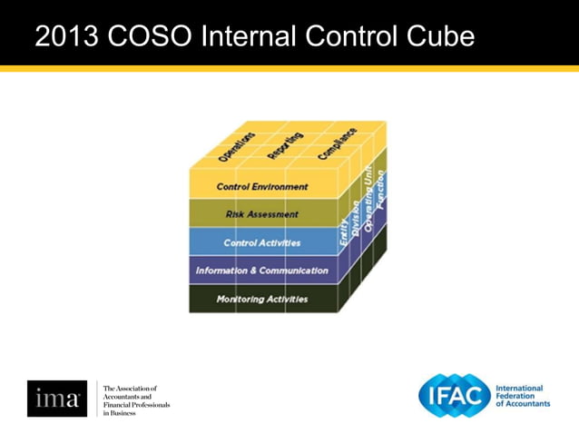 Upgrading Risk Management and Internal Control in Your Organization | PPT