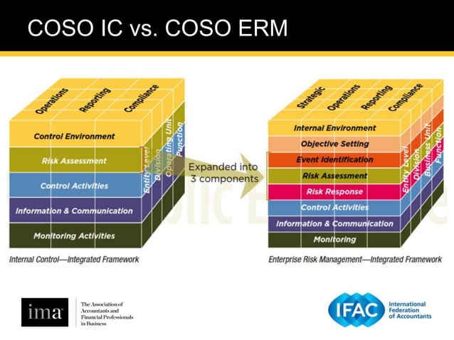Upgrading Risk Management and Internal Control in Your Organization ...