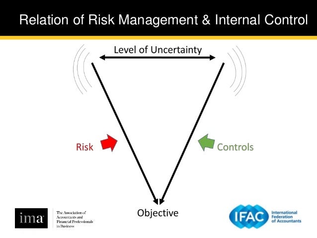 Upgrading Risk Management and Internal Control in Your Organization