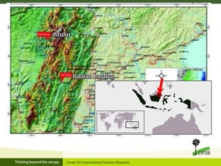 Local knowledge to inform effective management of protection forests: a ...