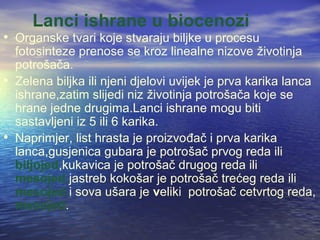 Iman biologija | PPT