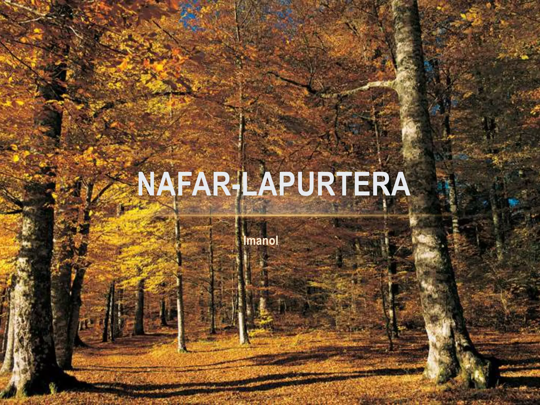 Imanol t. nafar lapurtera | PPTX