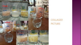 Imbibition Experiment | PPTX