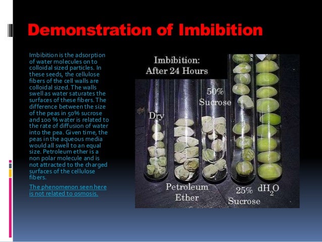Imbibition is the phenomenon of adsorption of water