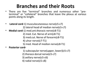 Anatomy of Brachial Plexus (by Murtaza Syed AKUH Karachi) | PPT