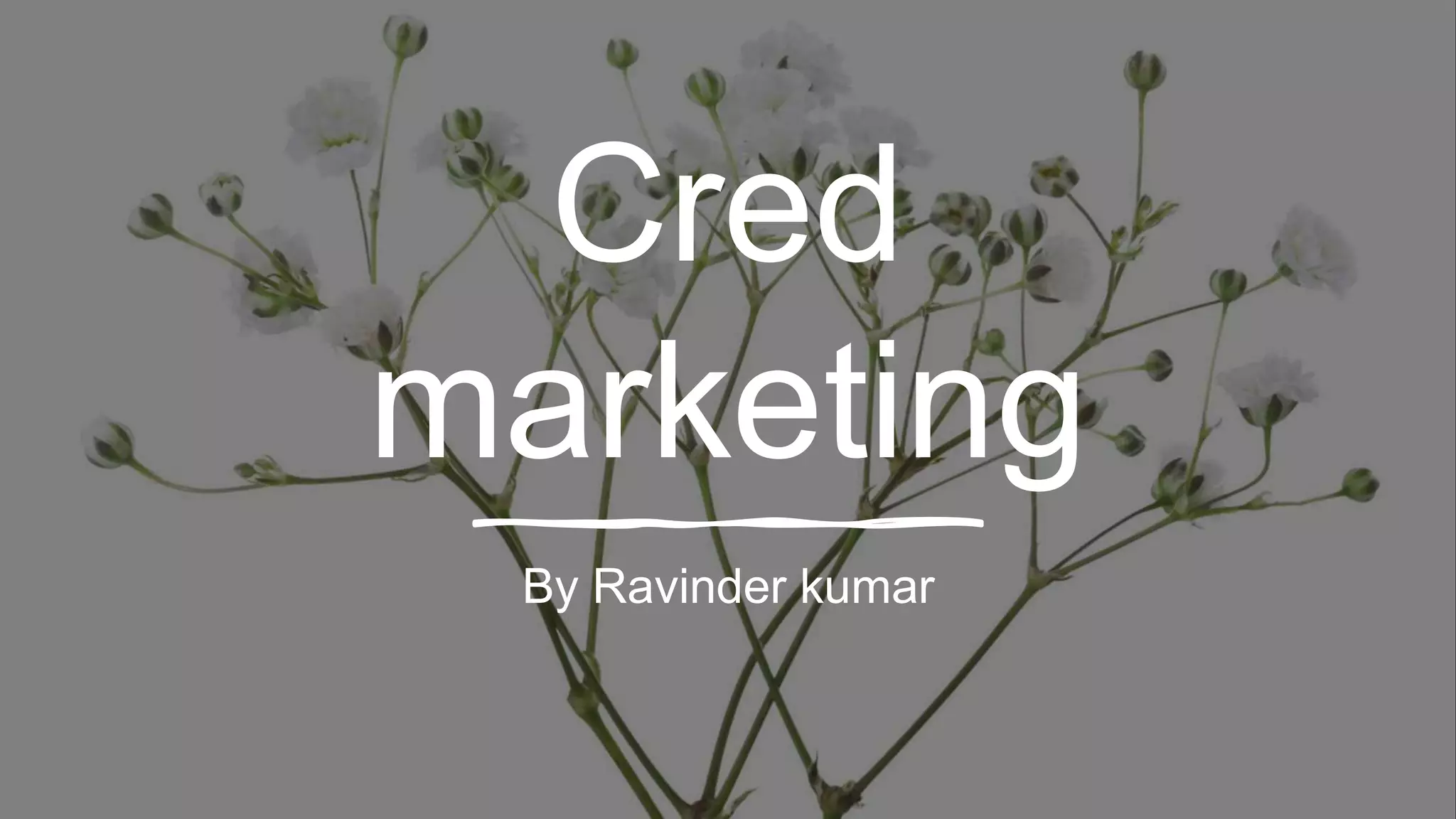 IMC Cred marketing strategies' | PPTX | Advertising Industry | Industries