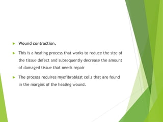 HEALING_AND_REPAIR_-_MBchB_2.1p king Caesar University | PPT