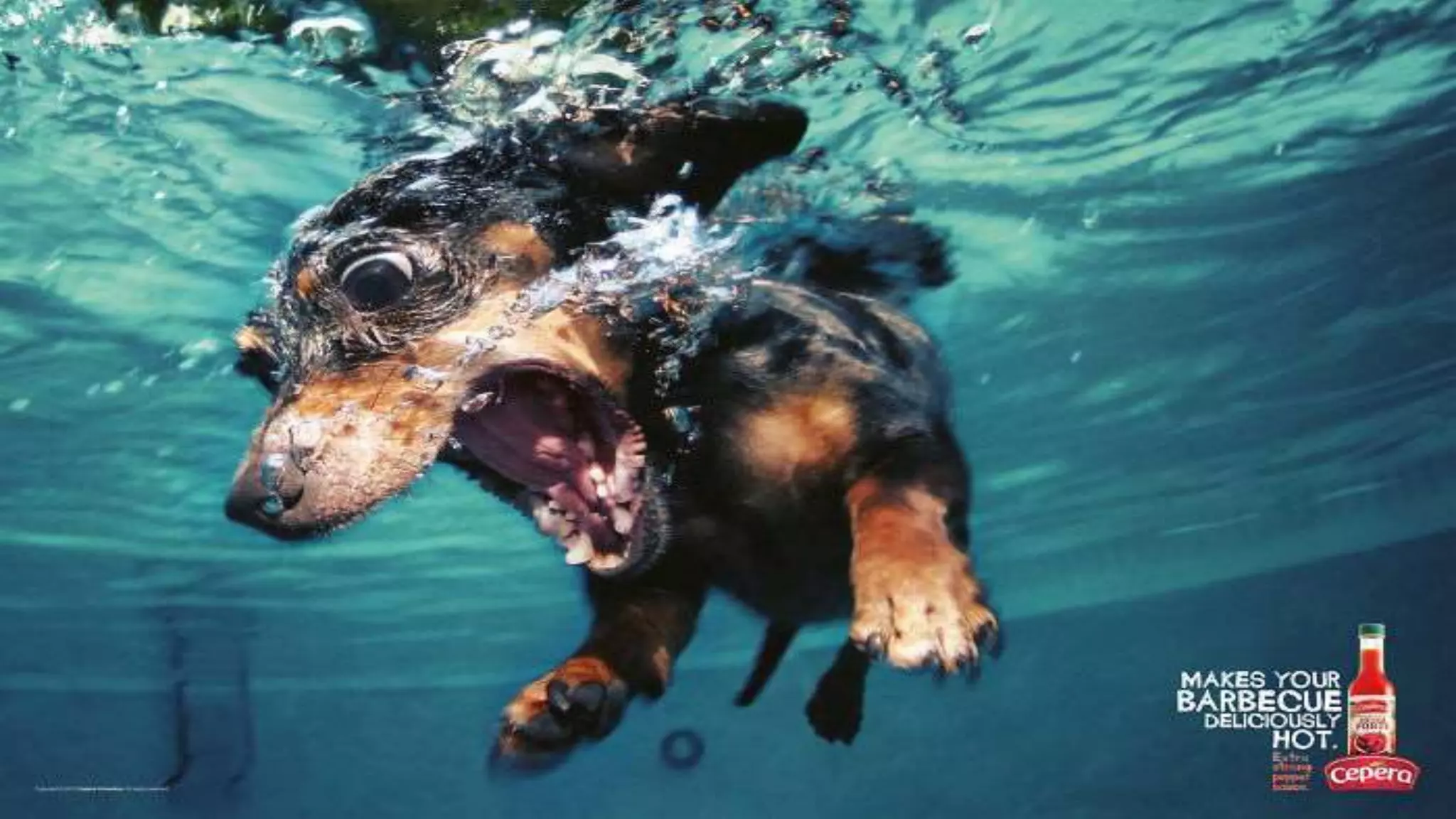 Three most effective advertising execution strategies | PPTX