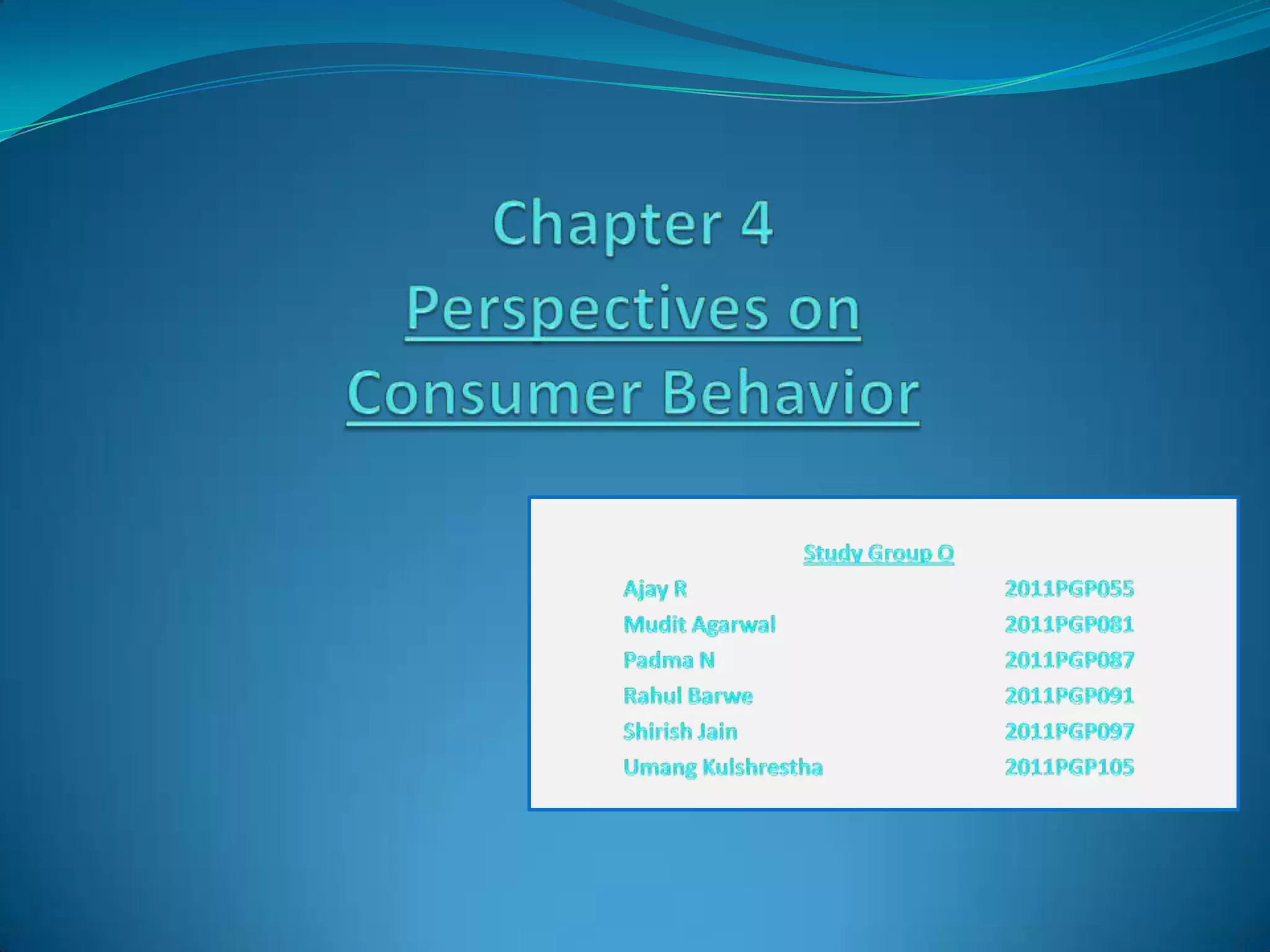 Perspectives on consumer Behaviour | PPTX | Business and Finance