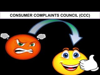 Regulations in Advertising | PPTX