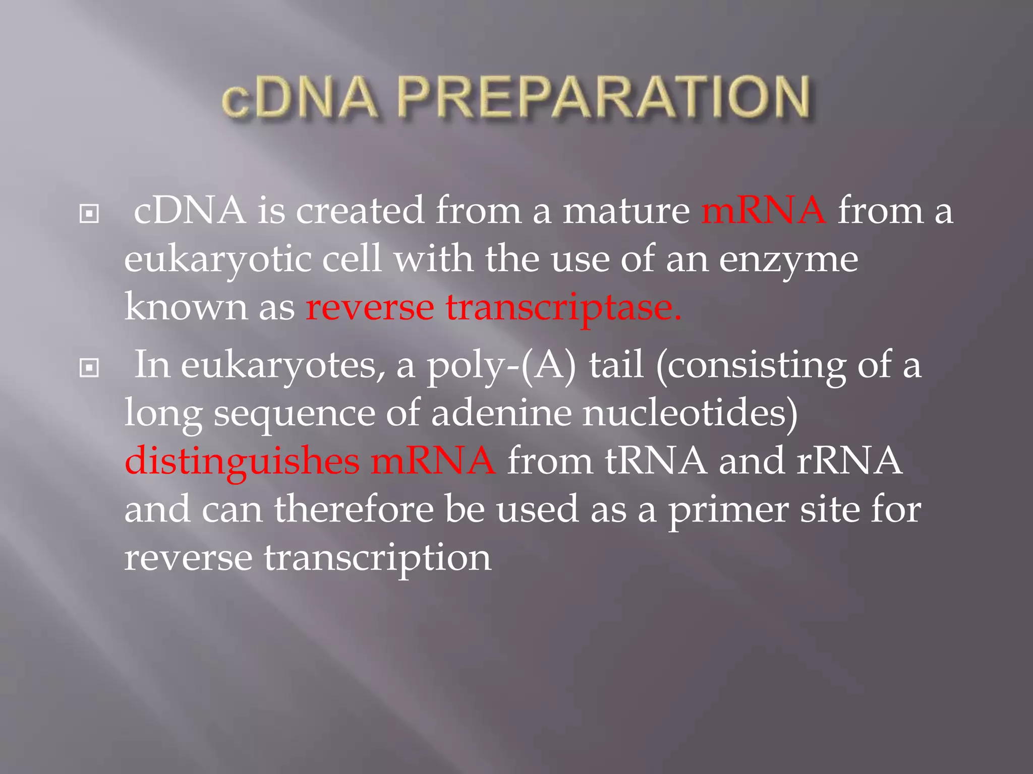 RNA ISOLATION AND cDNA PREPARATION | PPTX